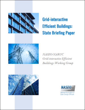 Grid-interactive Efficient Buildings: State Briefing Paper - Colombia ...