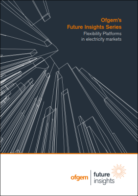 Flexibility Platforms in electricity markets - Colombia Inteligente