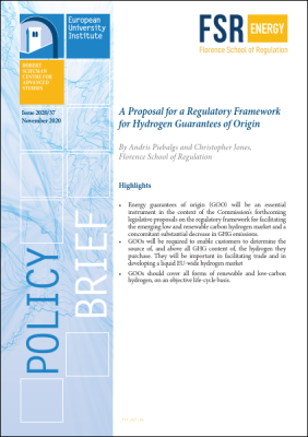 A proposal for a regulatory framework for hydrogen guarantees of origin ...