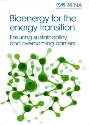Bioenergy for the Transition: Ensuring Sustainability and - Colombia ...