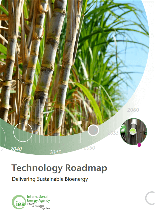Technology Roadmap Delivering Sustainable Bioenergy - Colombia Inteligente