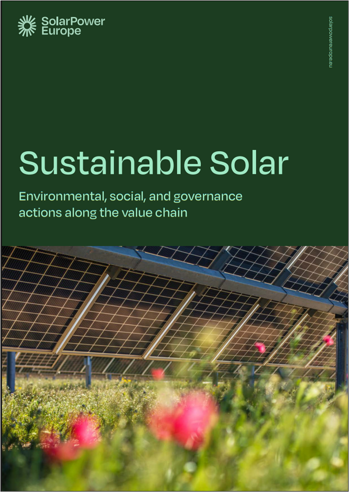 Sustainable Solar: Environmental, social, and governance actions along ...