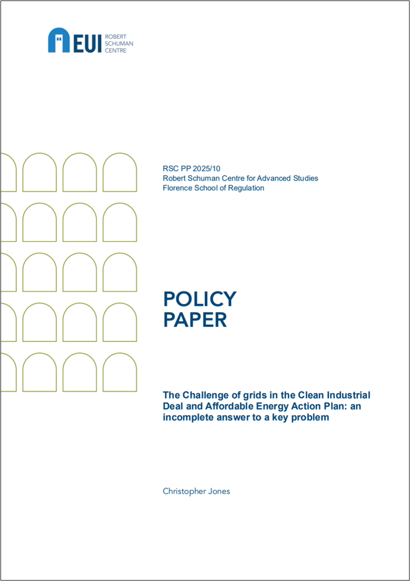 The Challenge of grids in the Clean Industrial Deal and Affordable ...