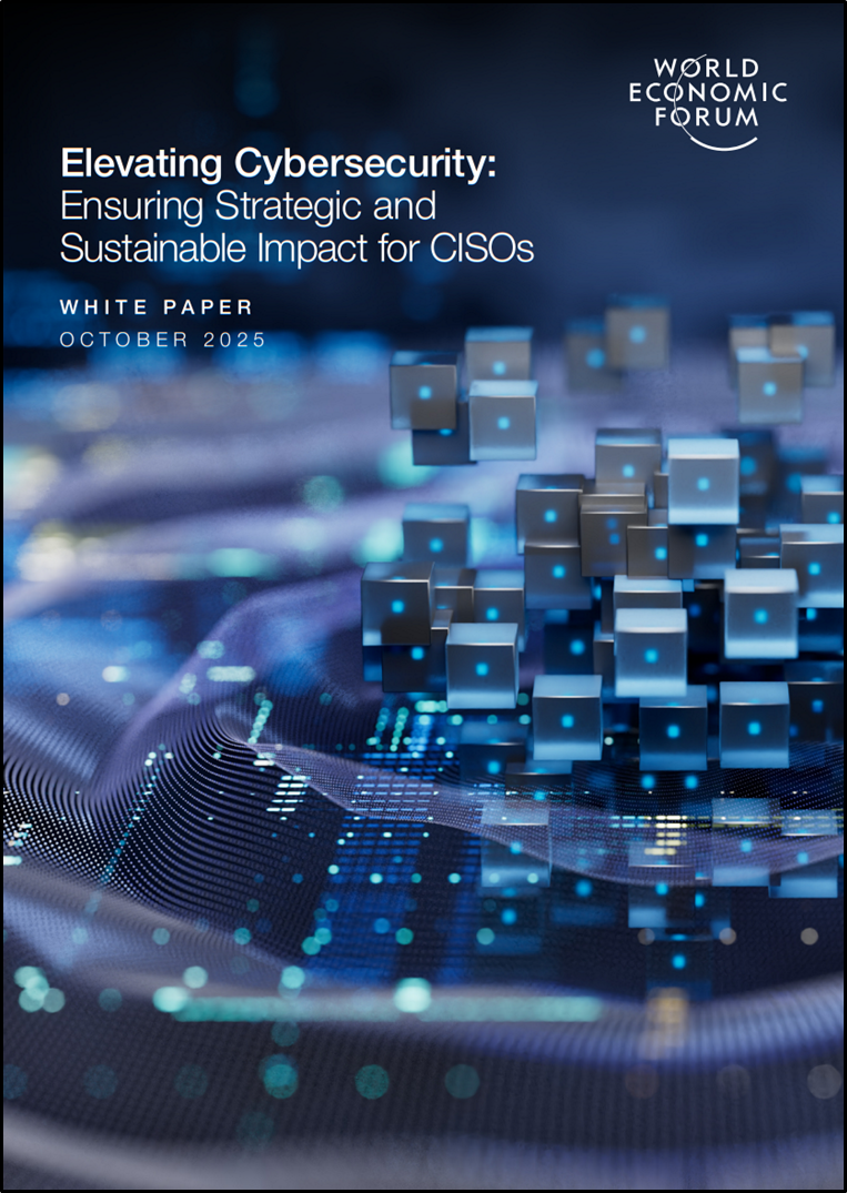 Elevating Cybersecurity: Ensuring Strategic and Sustainable Impact for ...
