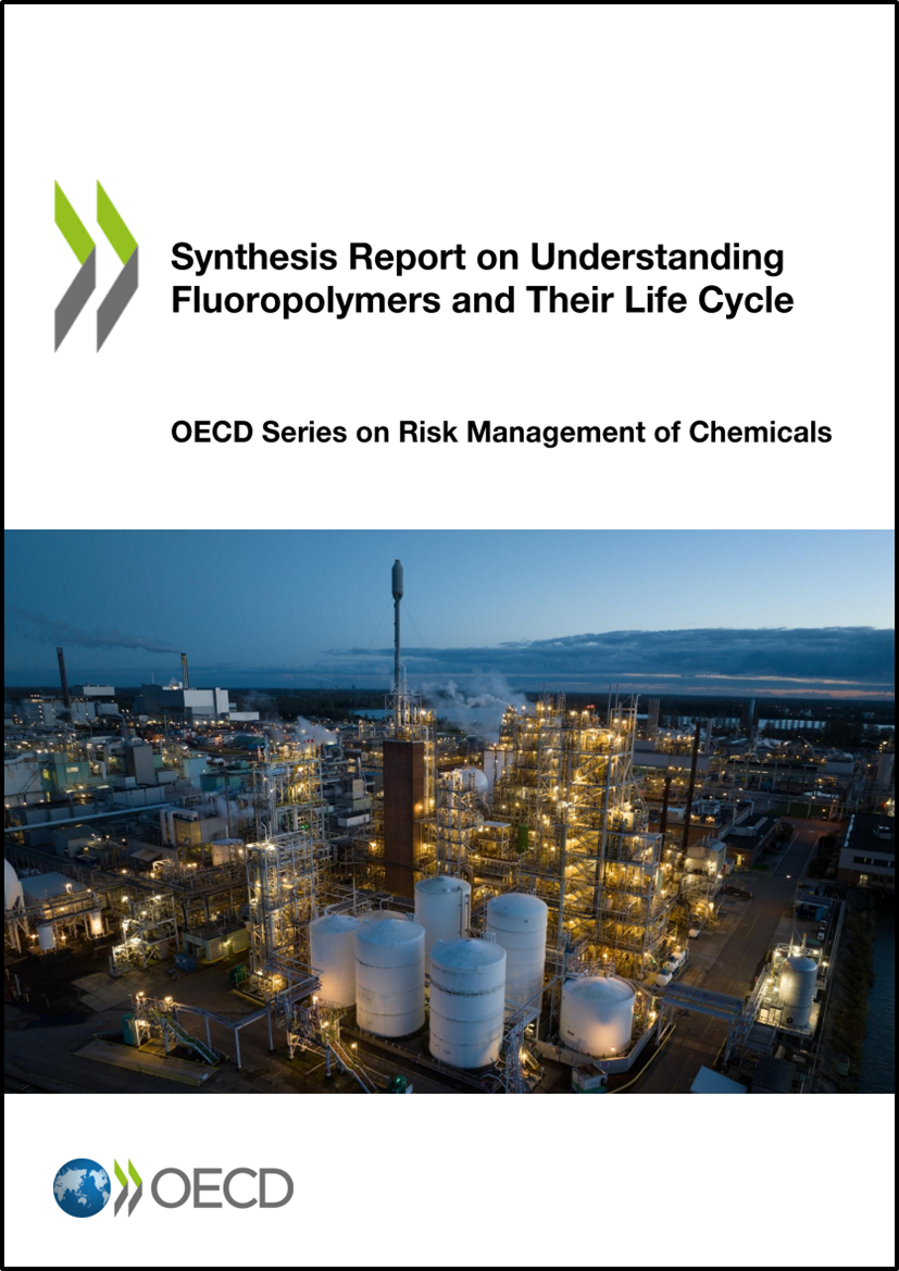 Synthesis report on understanding fluoropolymers and their life cycle ...