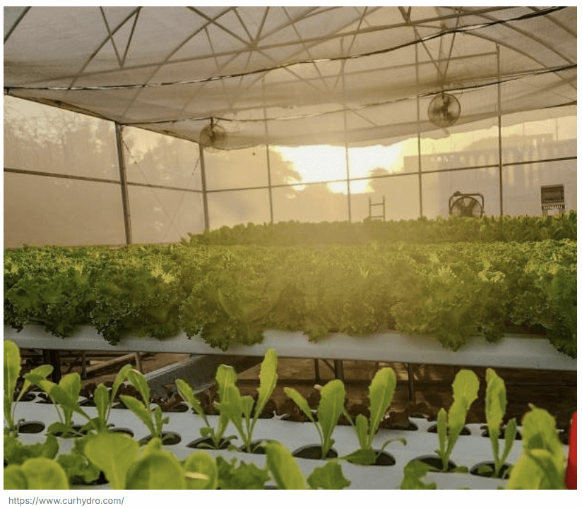 Green Assist: scaling sustainable farming in island communities ...