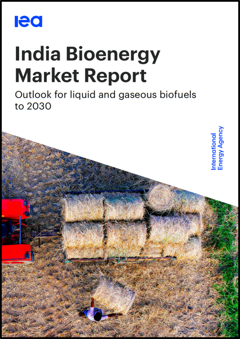 India Bioenergy Market Report: Outlook for liquid and gaseous biofuels ...